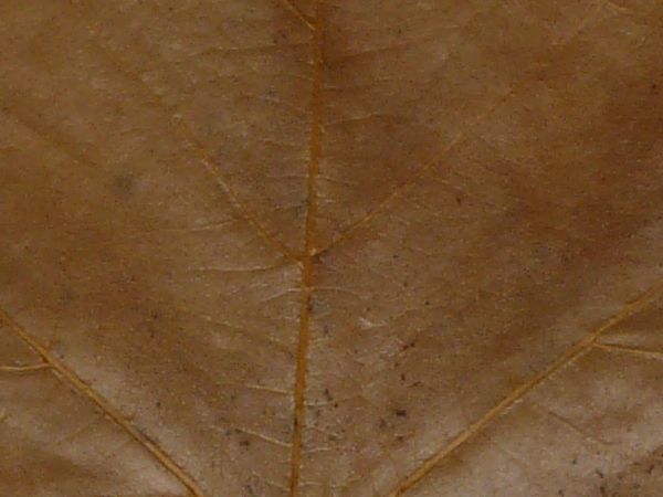 texture 0001 - Texturelib